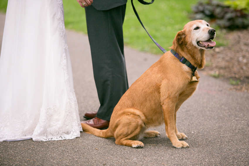 Edina Country Club {Judi & Paul}